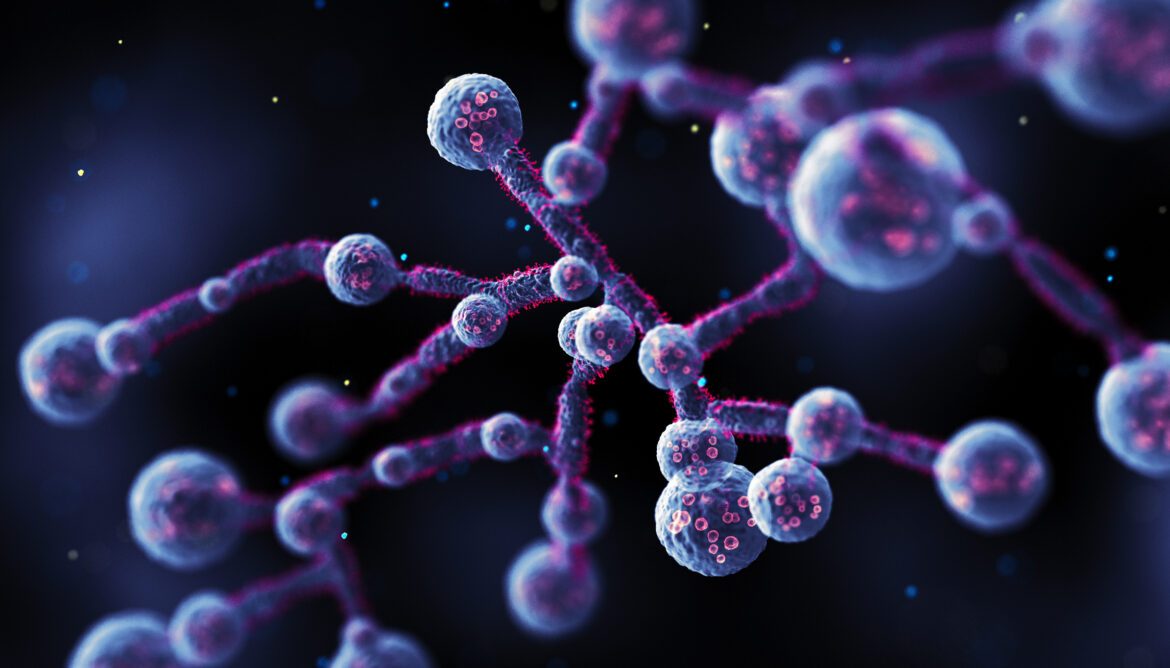 Kandidose der Haut: Ursachen und Behandlung