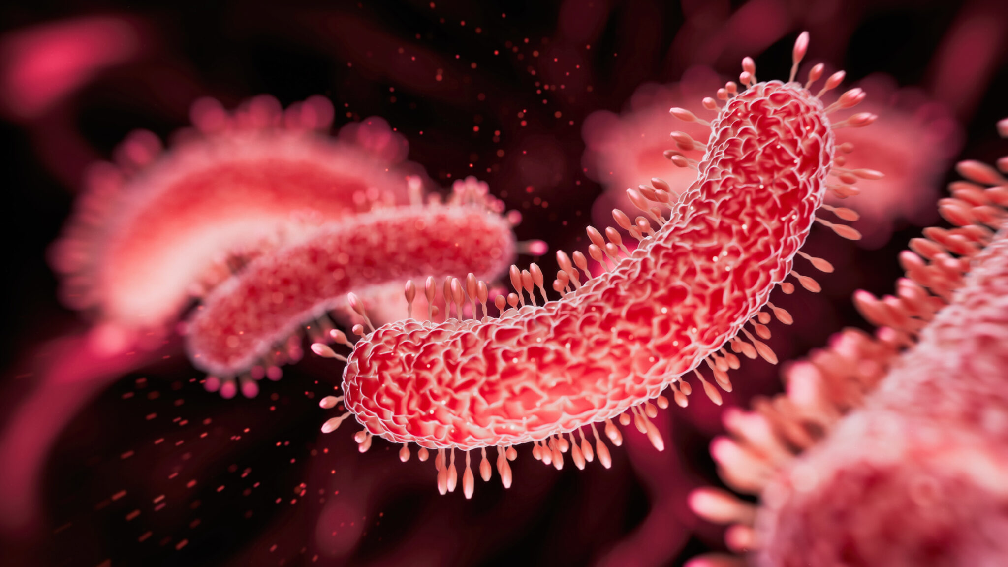Candida-Sepsis: Ursachen, Symptome und Behandlung